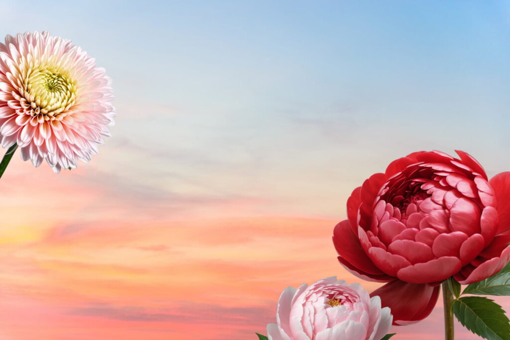 Produse inedite de ingrijire si cosmetice pentru ten & corp - Meloni